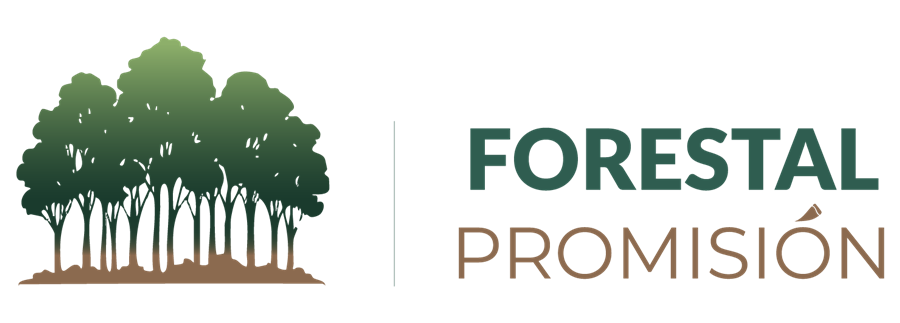 Forestal Promision | Madera de Eucalipto Sostenible